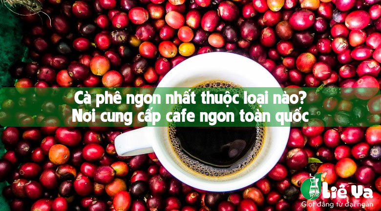 Cà phê ngon nhất thuộc loại nào? Nơi cung cấp cafe ngon toàn quốc